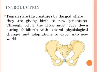 FEMALE PELVIS FOR B.SC NURSING STUDENT. | PPTX