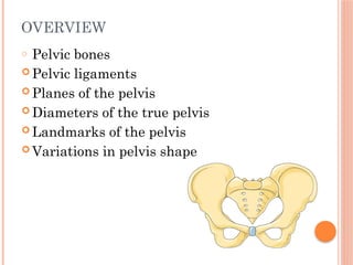 FEMALE PELVIS FOR B.SC NURSING STUDENT. | PPTX