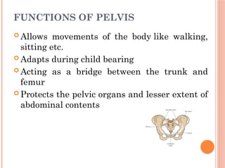 FEMALE PELVIS FOR B.SC NURSING STUDENT. | PPTX