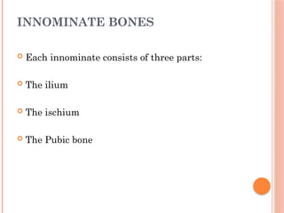 FEMALE PELVIS FOR B.SC NURSING STUDENT. | PPTX