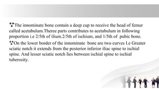 female pelvis.pptnaglakshi sssssssssssss | PPT