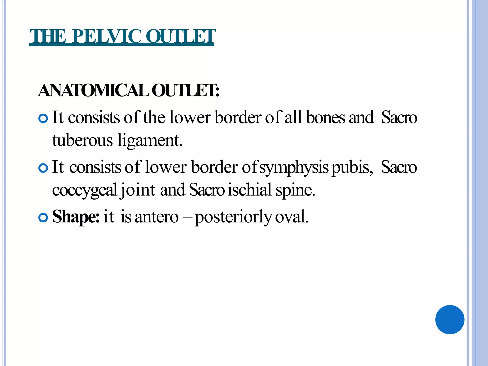 female pelvis (1).pptx