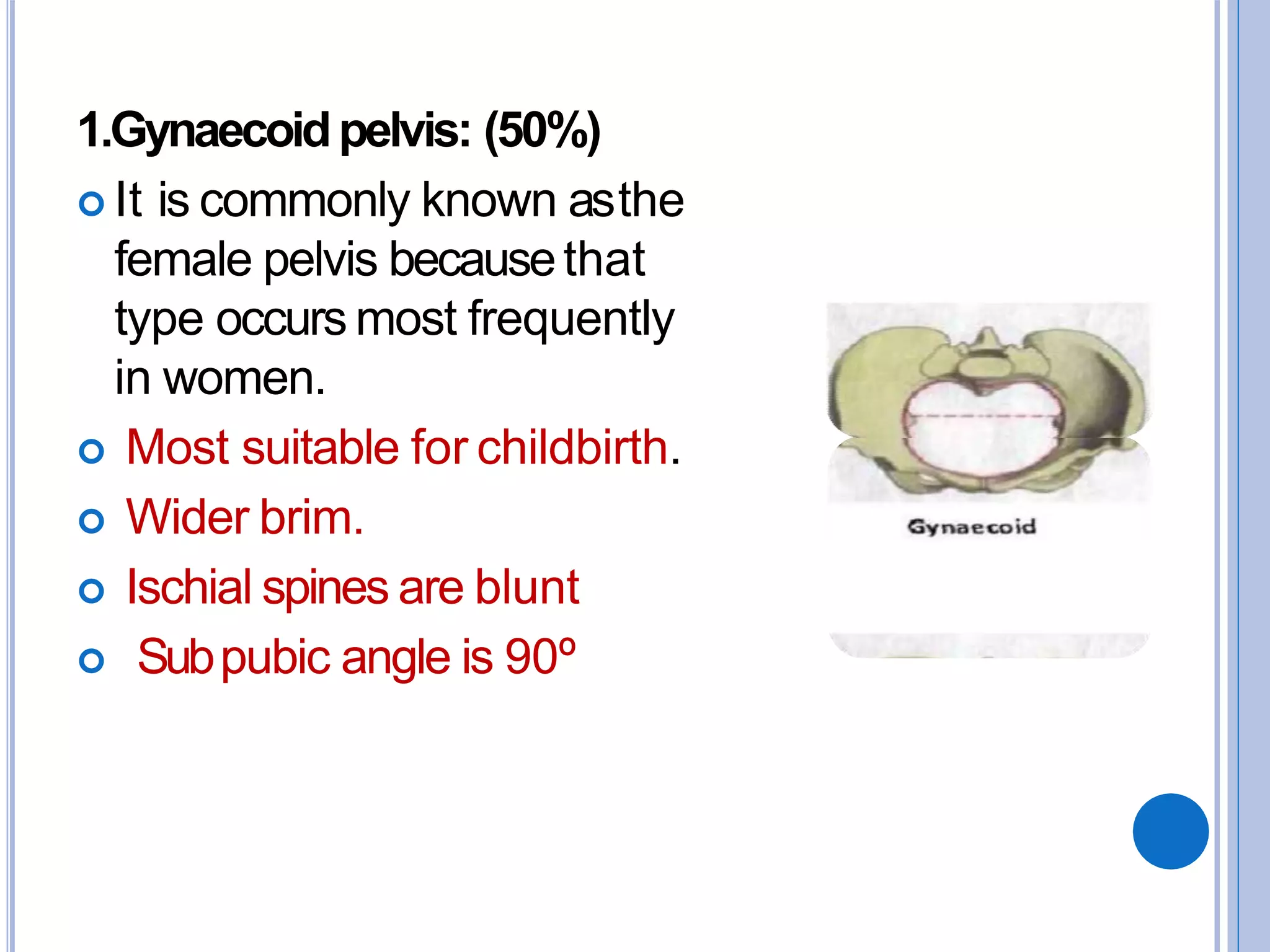 female pelvis (1).pptx