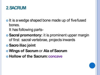 female pelvis (1).pptx