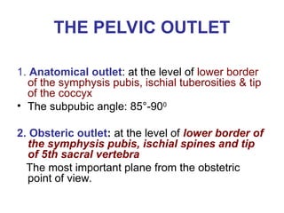 Female pelvis and Fetal head Obstetrics and Gynaecology.ppt