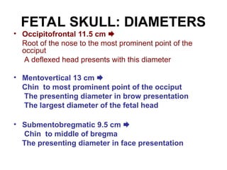 Female pelvis and Fetal head Obstetrics and Gynaecology.ppt