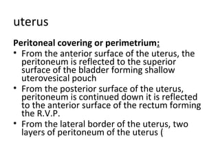 Female pelvis(content) | PPT