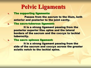 female pelvisFINAL.ppt
