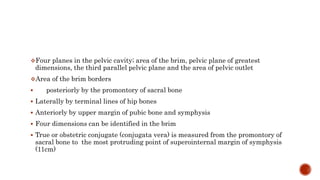 Female pelvis in point of obstetrics | PPTX