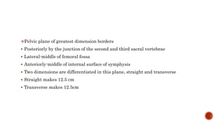 Female pelvis in point of obstetrics | PPTX