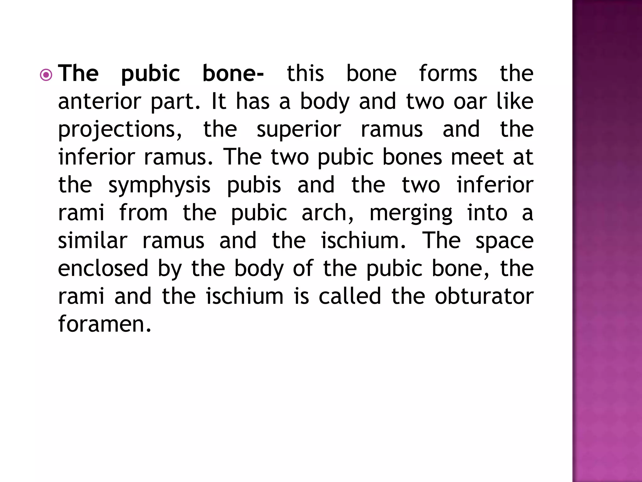 Female pelvis ppt | PPTX