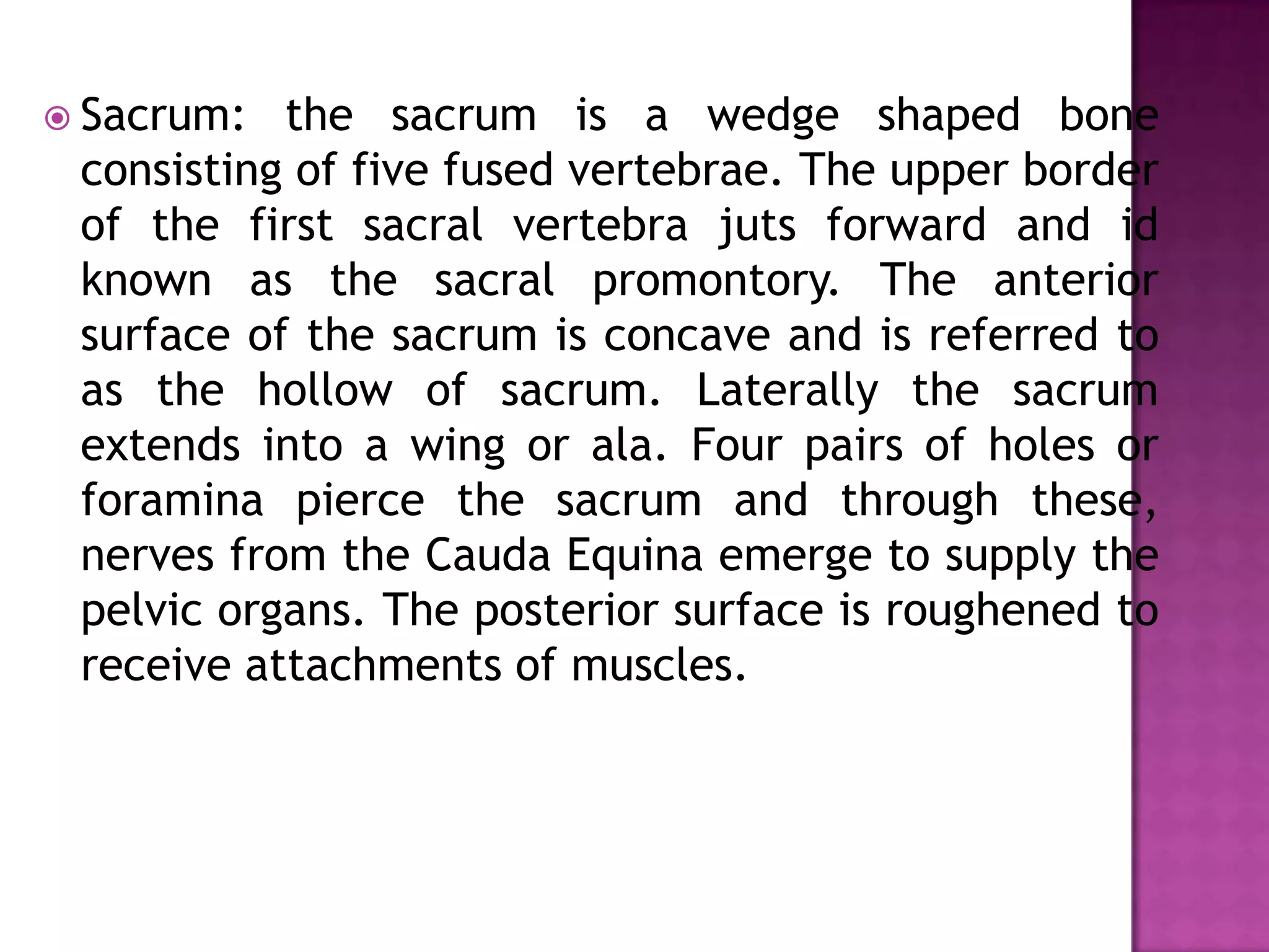Female pelvis ppt | PPTX