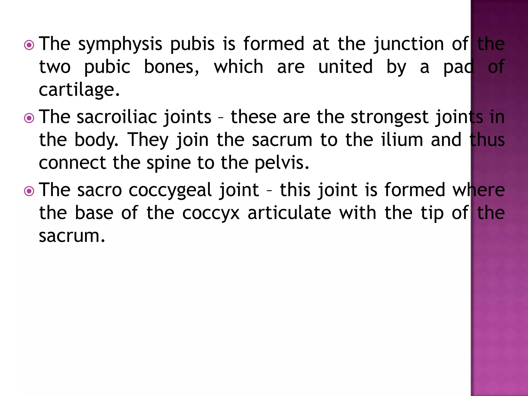 Female pelvis ppt | PPTX
