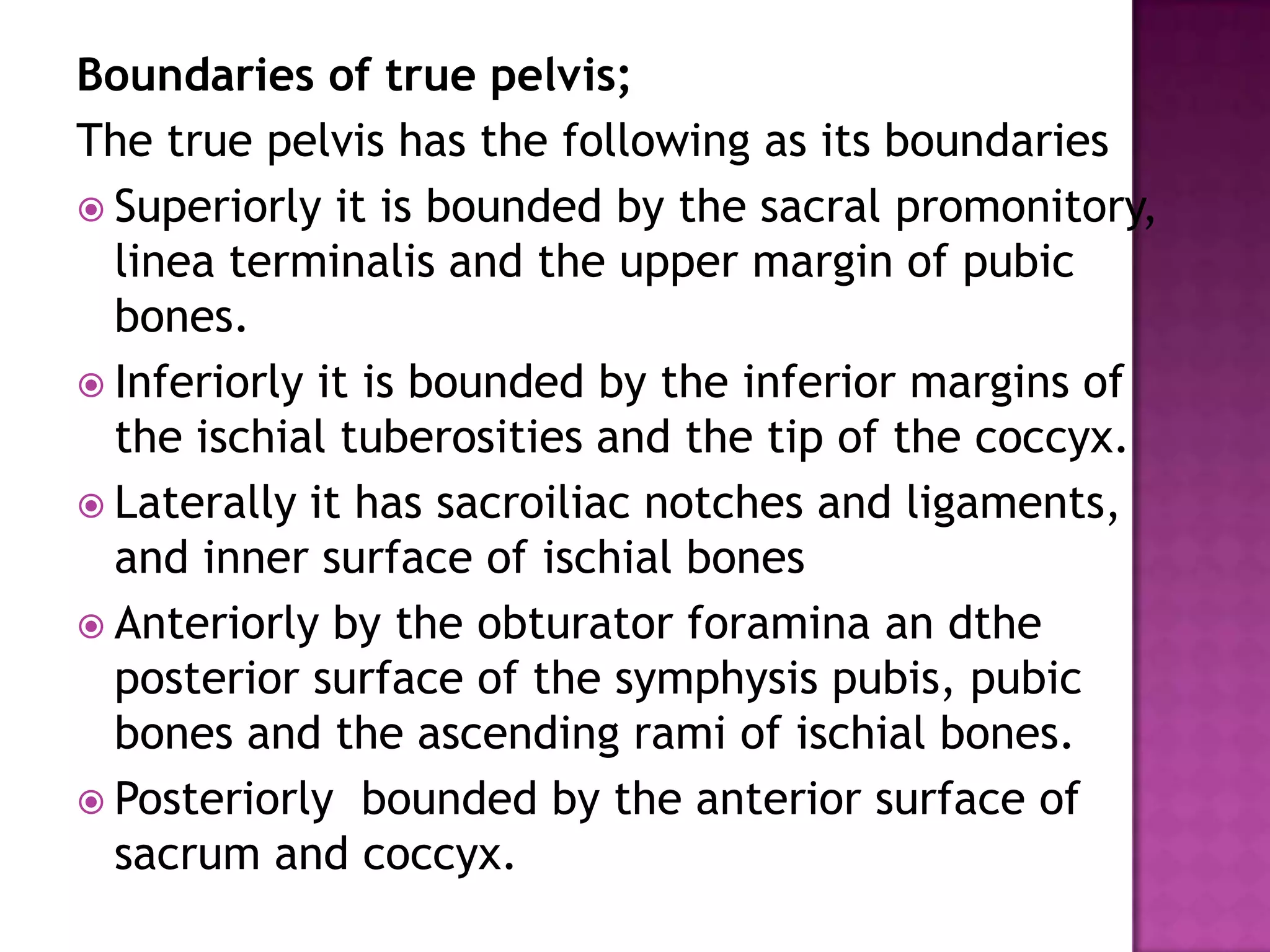 Female pelvis ppt | PPTX