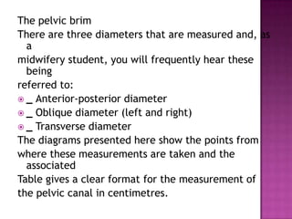 Female pelvis ppt | PPTX