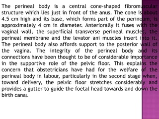 Female pelvis ppt | PPTX