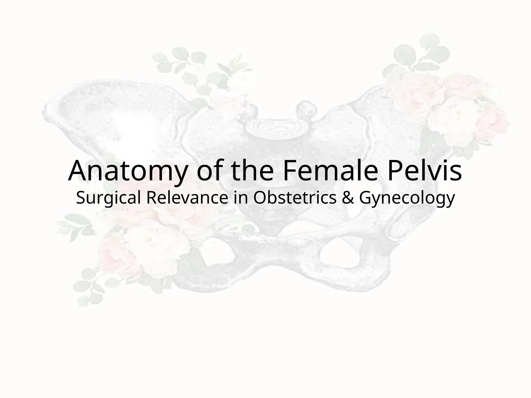 female_pelvis_surgical_relevance_anatomy | PPTX