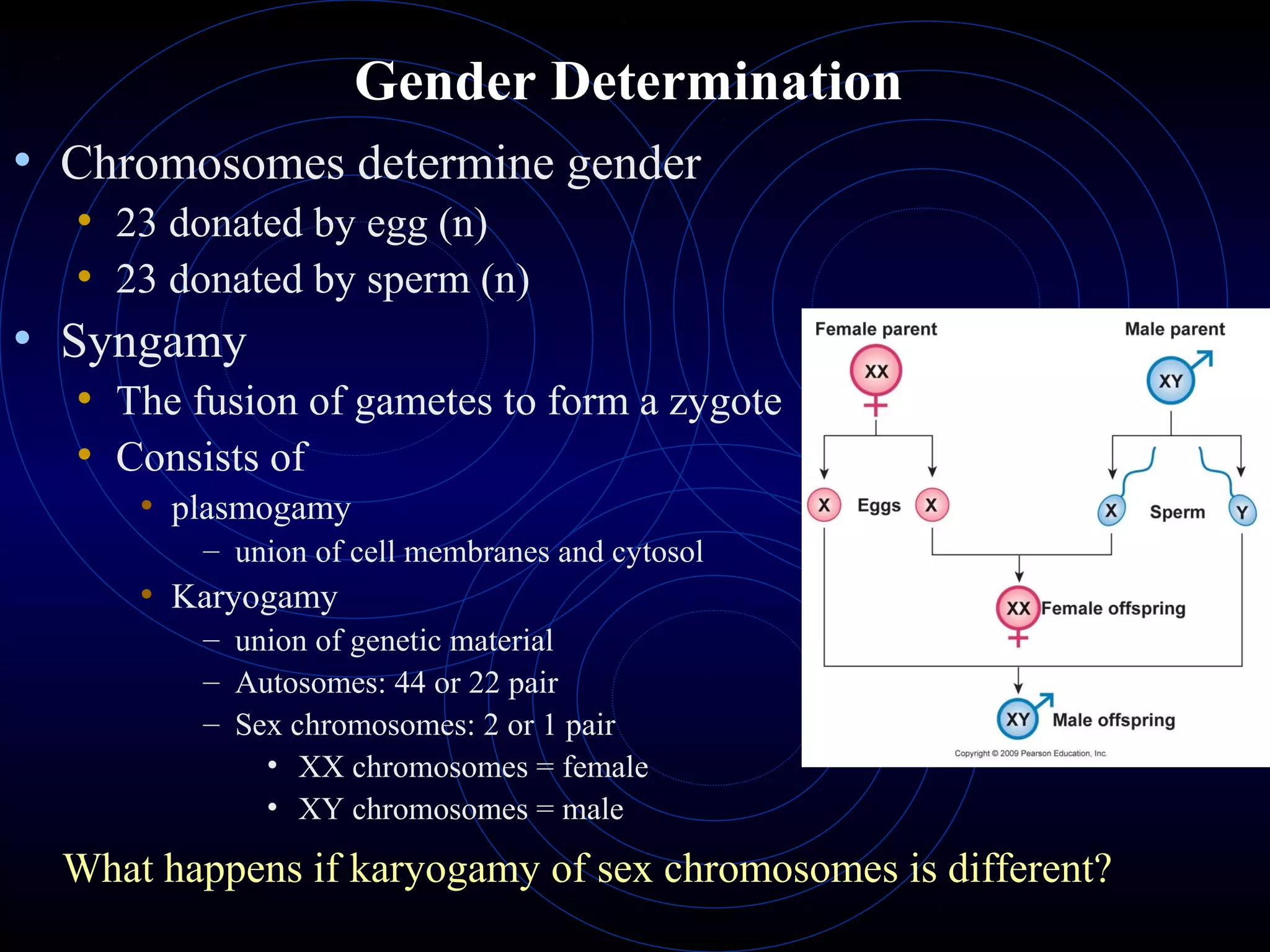 Female repproductive physiology | PPT