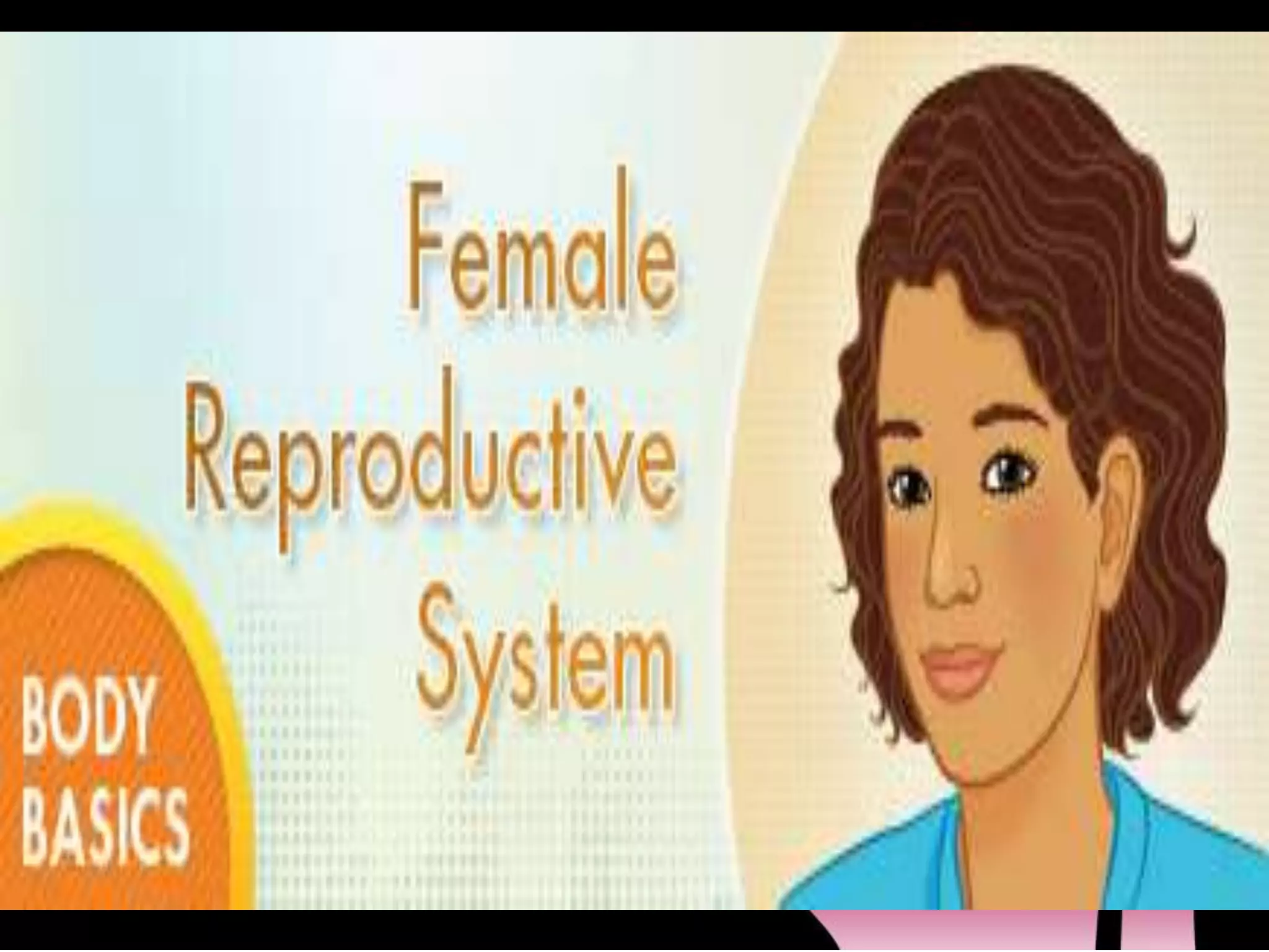 Female reprodcutive system | PPTX