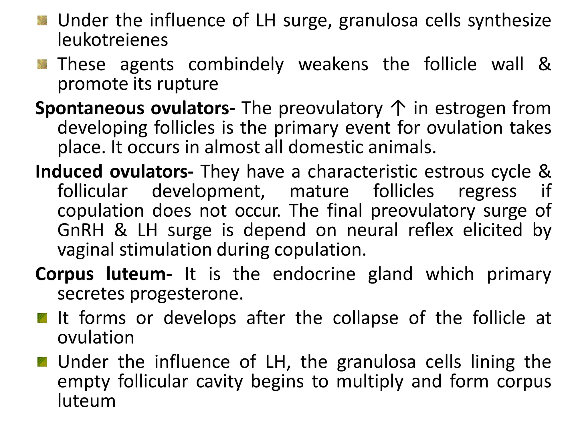 Female_reproduction.pptx