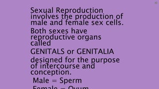 Female Reproduction.pptx for biology grade 12 | PPTX