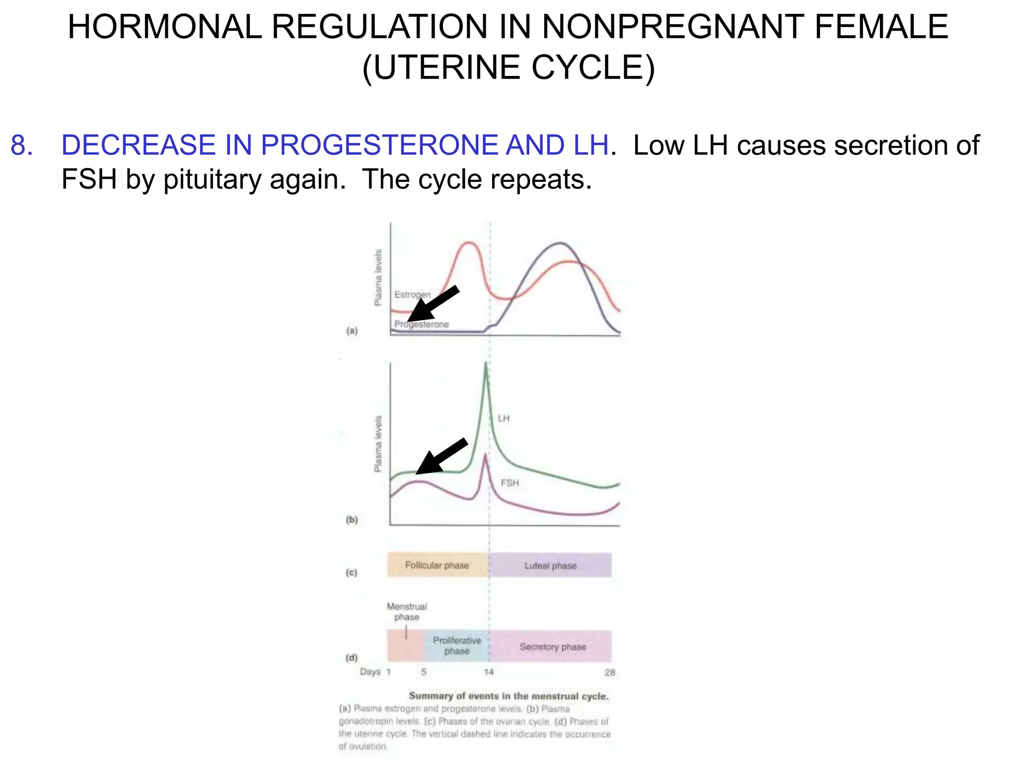 female_reproduction_hormone_cycle.ppt
