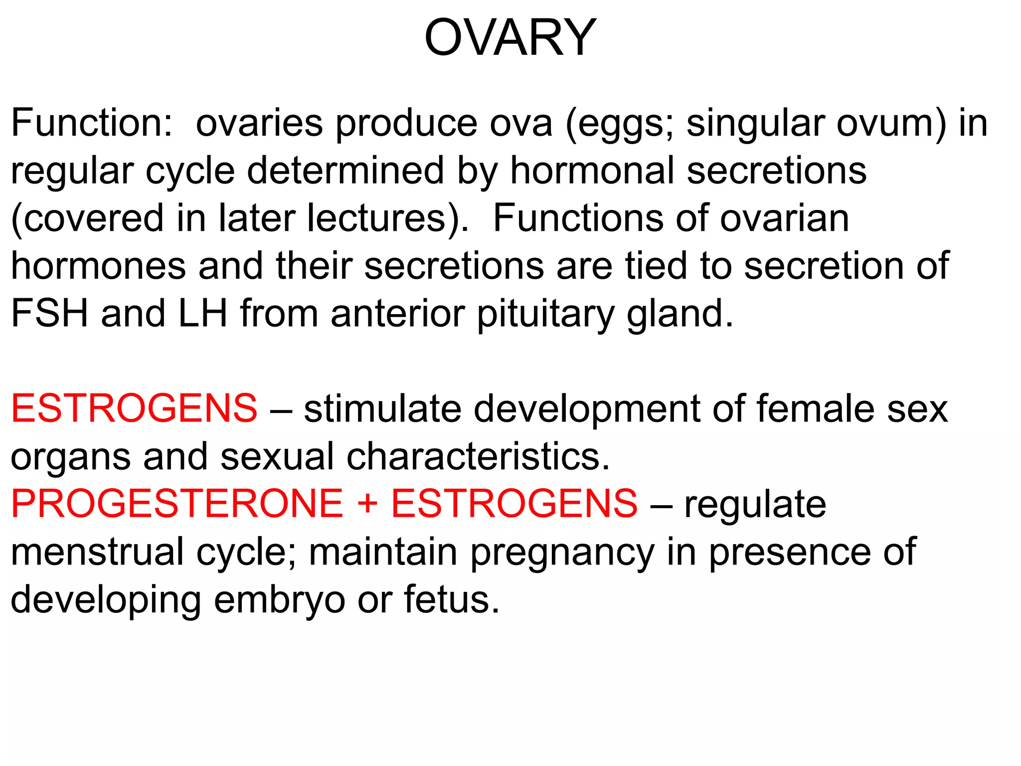 female_reproduction_hormone_cycle.ppt
