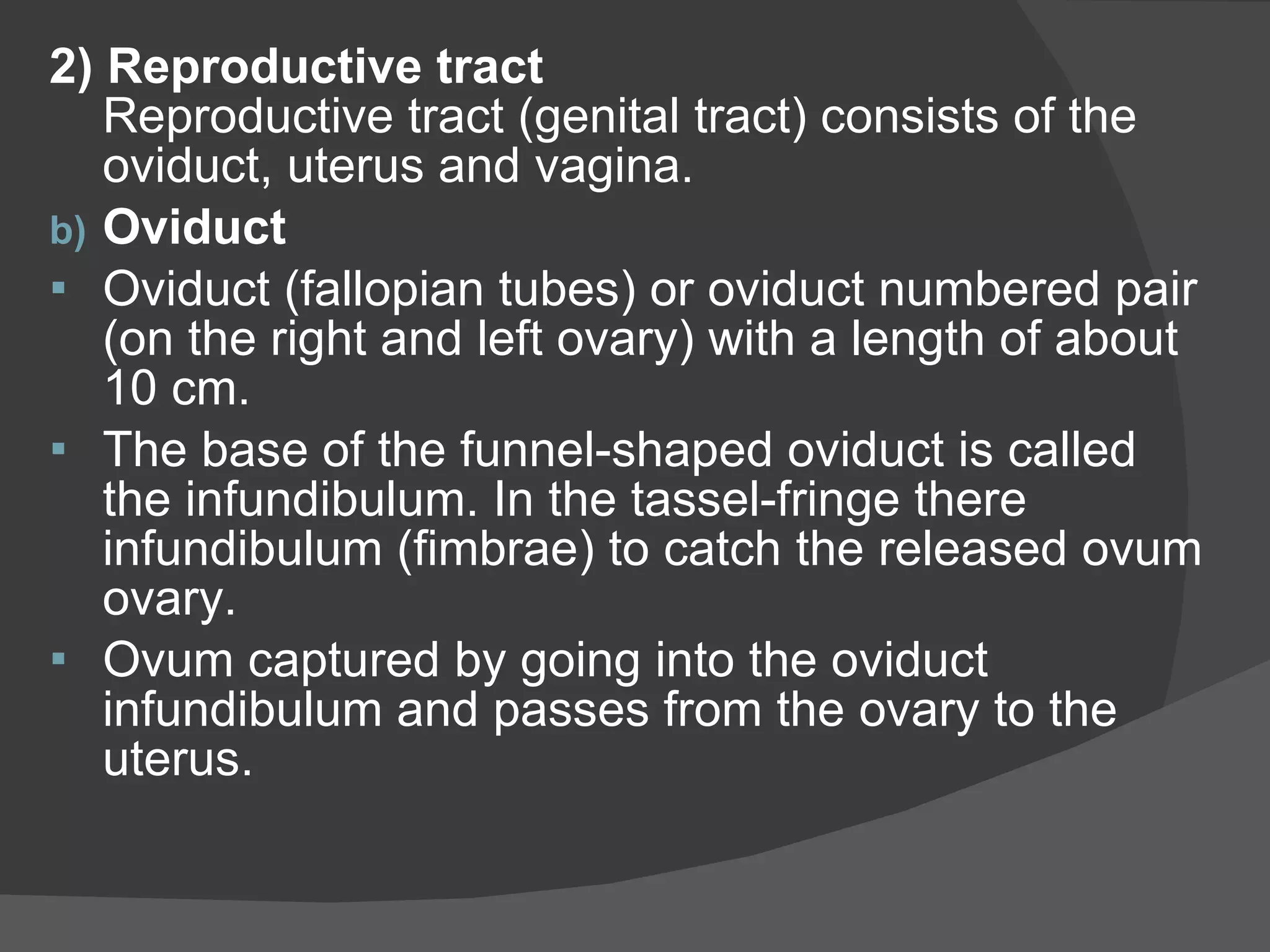 Female reproduction system | PPT