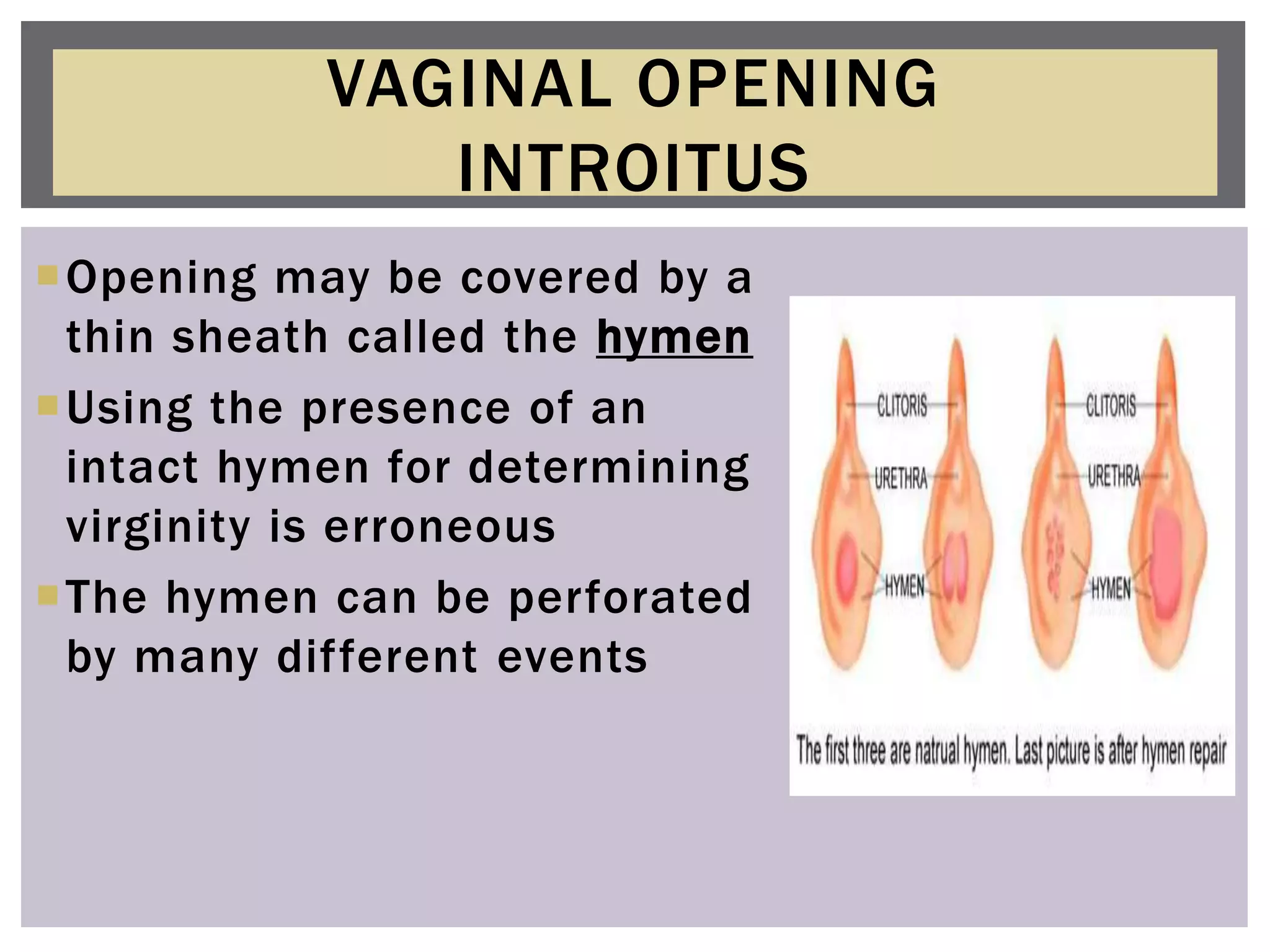 Female reproduction system | PPTX