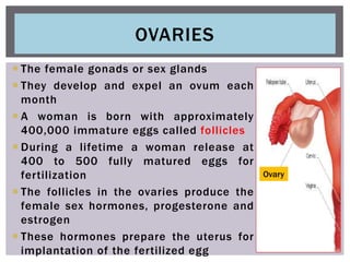 Female reproduction system | PPTX