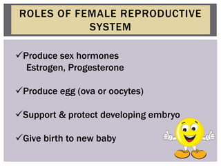 Female reproduction system | PPTX