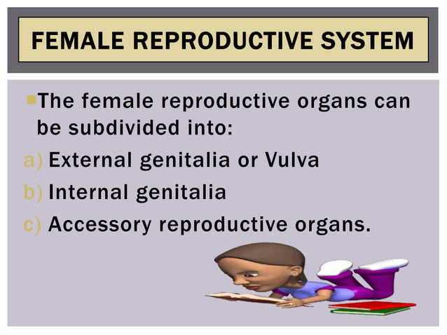 Female reproduction system | PPTX