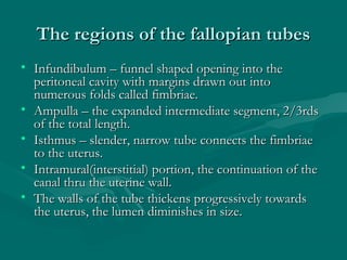 Female reproductive system | PPT