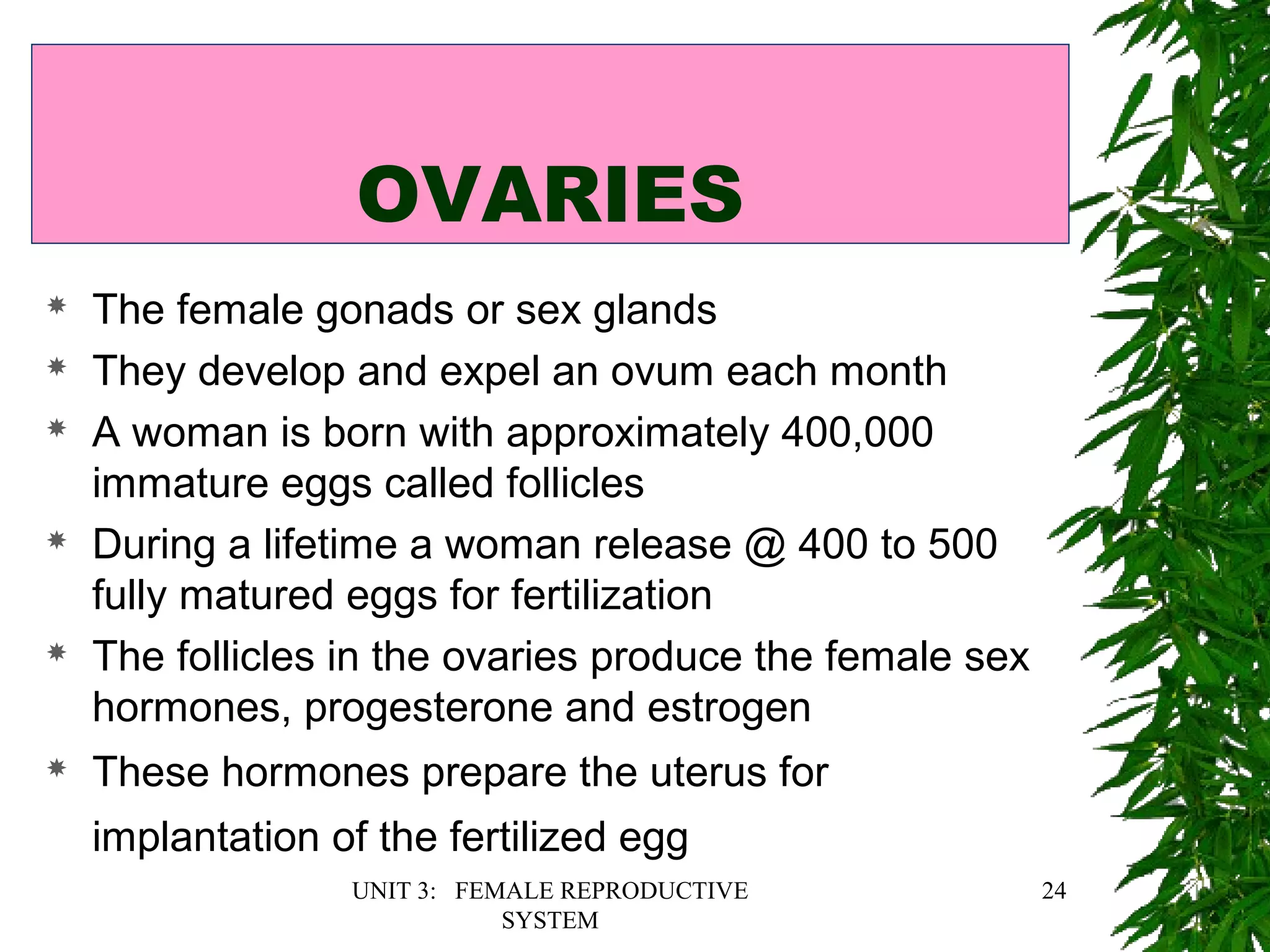 Female reproductive.sys. | PPT