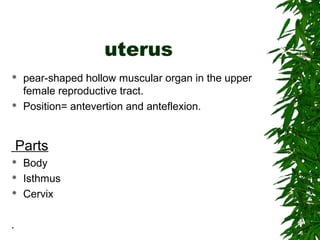 Female reproductive.sys. | PPT
