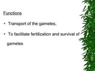 Female reproductive.sys. | PPT