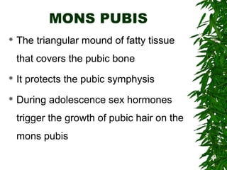 Female reproductive.sys. | PPT