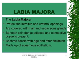 Female reproductive.sys. | PPT