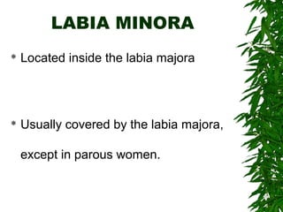 Female reproductive.sys. | PPT