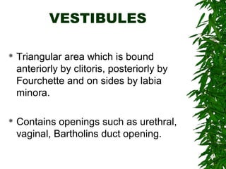 Female reproductive.sys. | PPT
