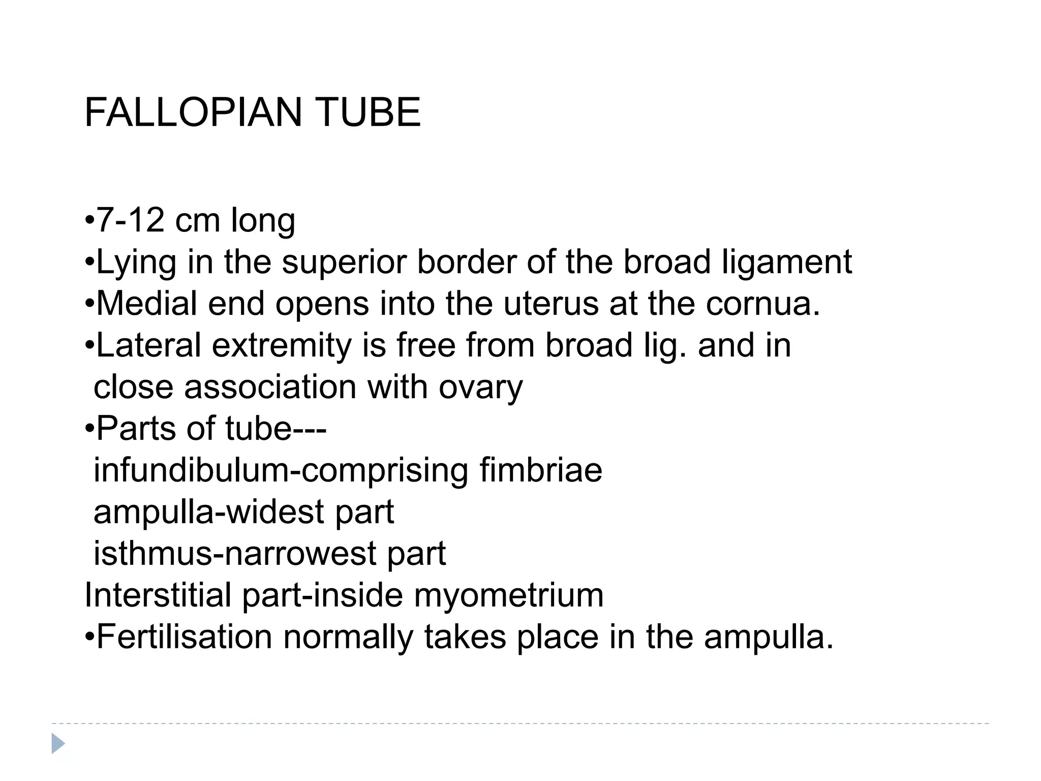 Anatomy of female reproductive system | PPTX