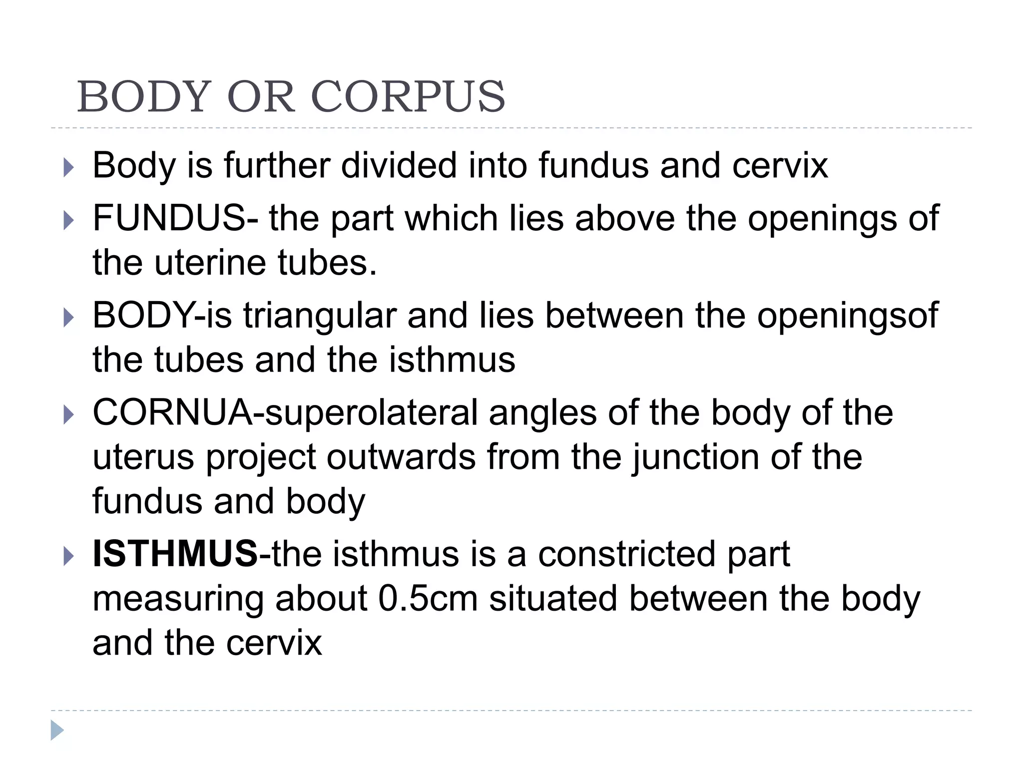 Anatomy of female reproductive system | PPTX