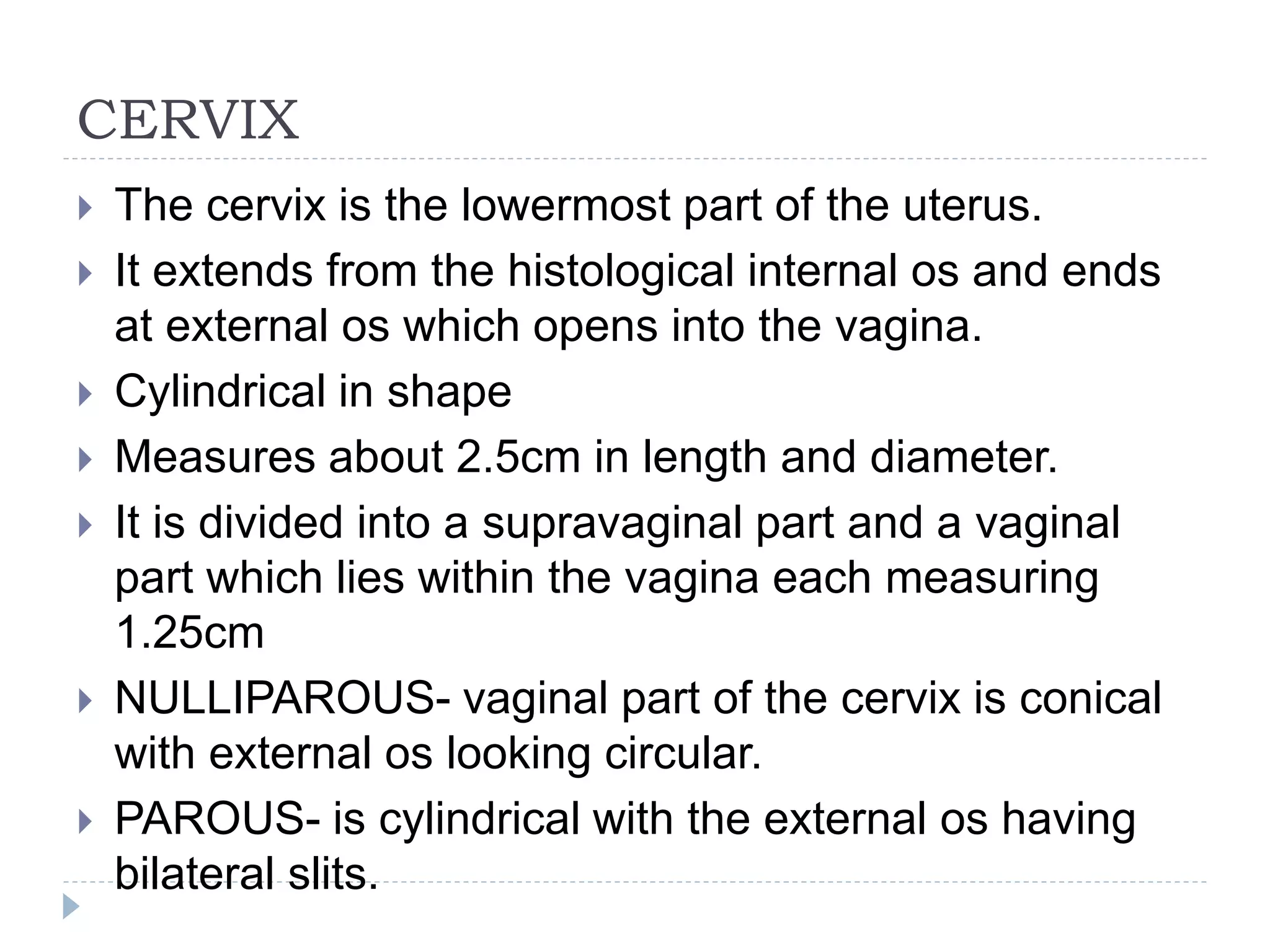 Anatomy of female reproductive system | PPTX