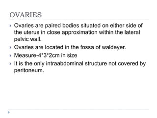 Anatomy of female reproductive system | PPTX