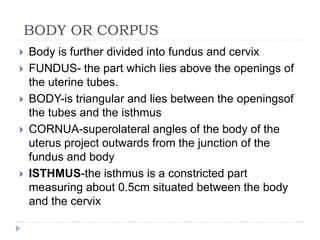 Anatomy of female reproductive system | PPTX