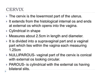 Anatomy of female reproductive system | PPTX