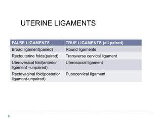 Anatomy of female reproductive system | PPTX