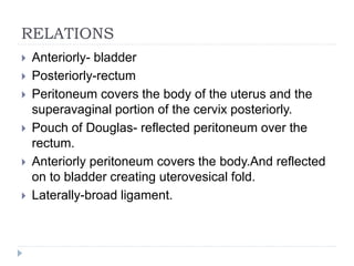 Anatomy of female reproductive system | PPTX