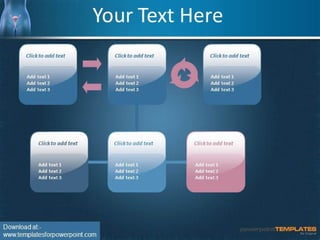 Female reproductive | PPT