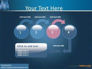 Female reproductive | PPT